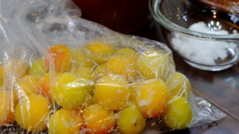 食品衛生法適合ポリ袋-その袋,食品OKですか？ | ビニール・プラスチック製品の卸販売は西川善